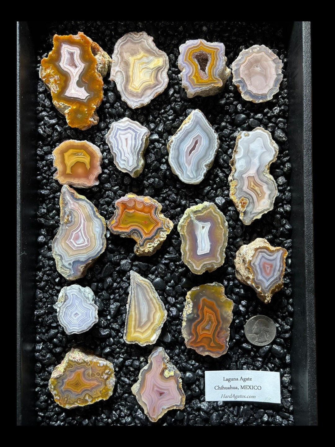 Incredibly Affordable and Rare Laguna Agates, Rare Mexican Quality ...