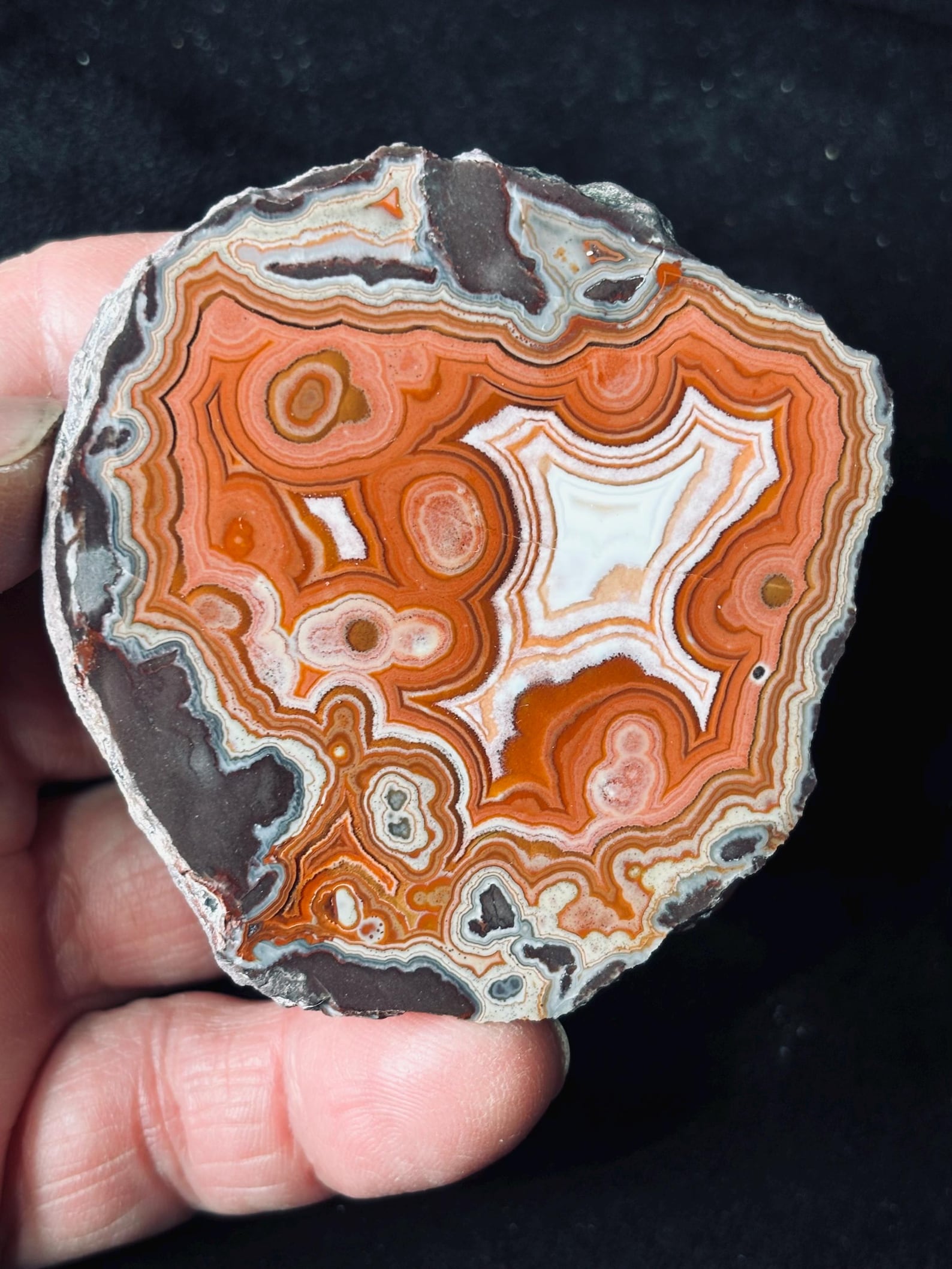 Pink & Rouge Dryhead Agate Specimen, Montana USA, Polished Agate (68mm ...