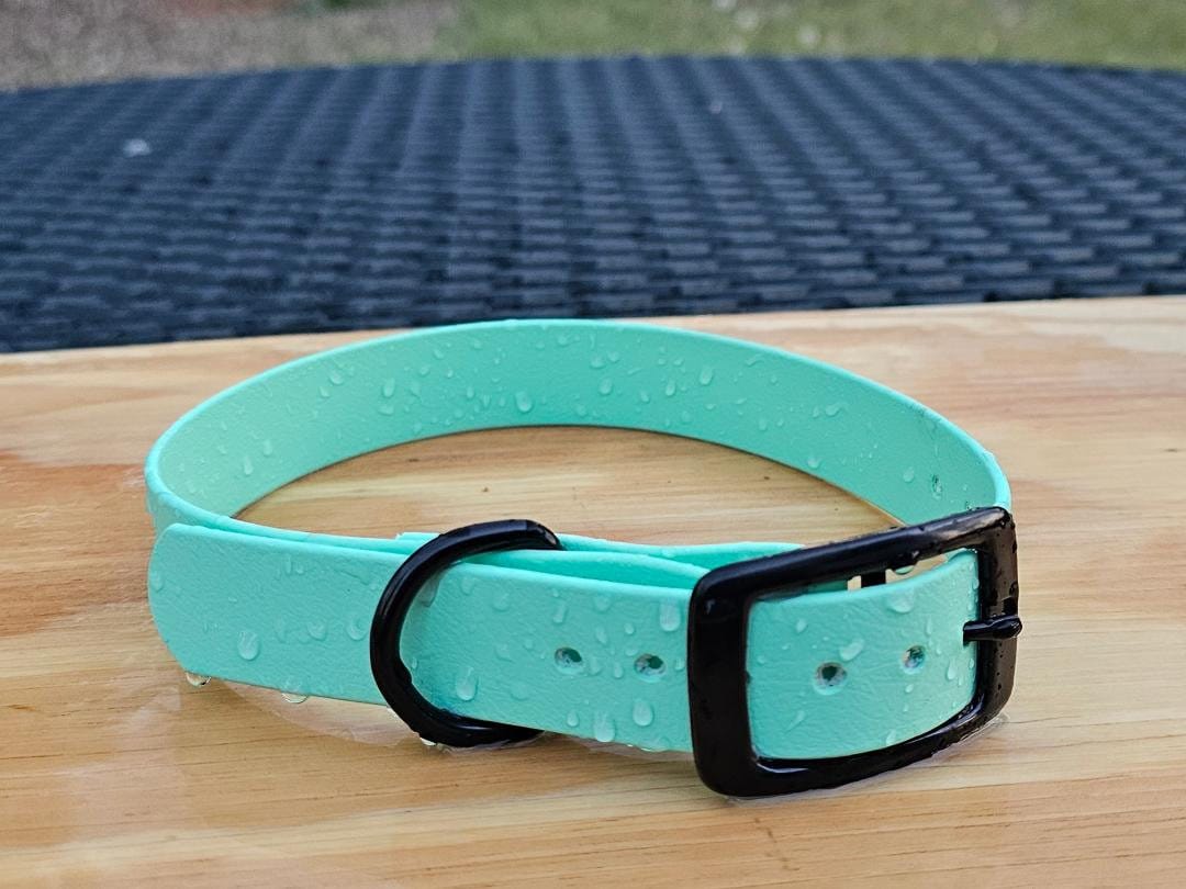 CUSTOM- Biothane Waterproof Dog Collar Single Color: 5/8, 3/4, or 1 ...