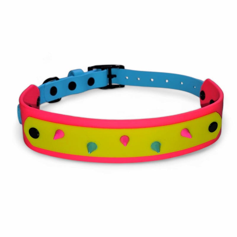 Dog Spike Collars - Etsy