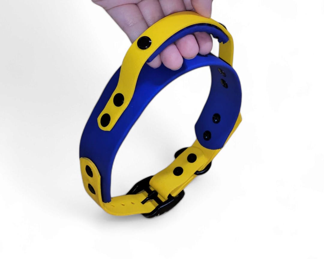 CUSTOM- Grippy Handle Biothane Waterproof Dog Collar for Dock Diving ...