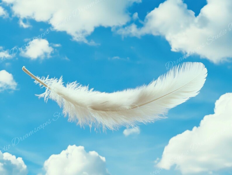 Floating Feather Digital Backdrop - Dreamy Sky Photography Background ...