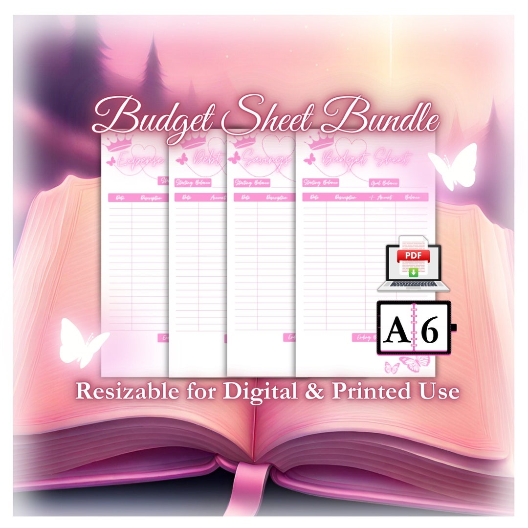 Butterfly Queen Pink Budget Sheet Dashboard Set | Expense, Budget, Debt ...