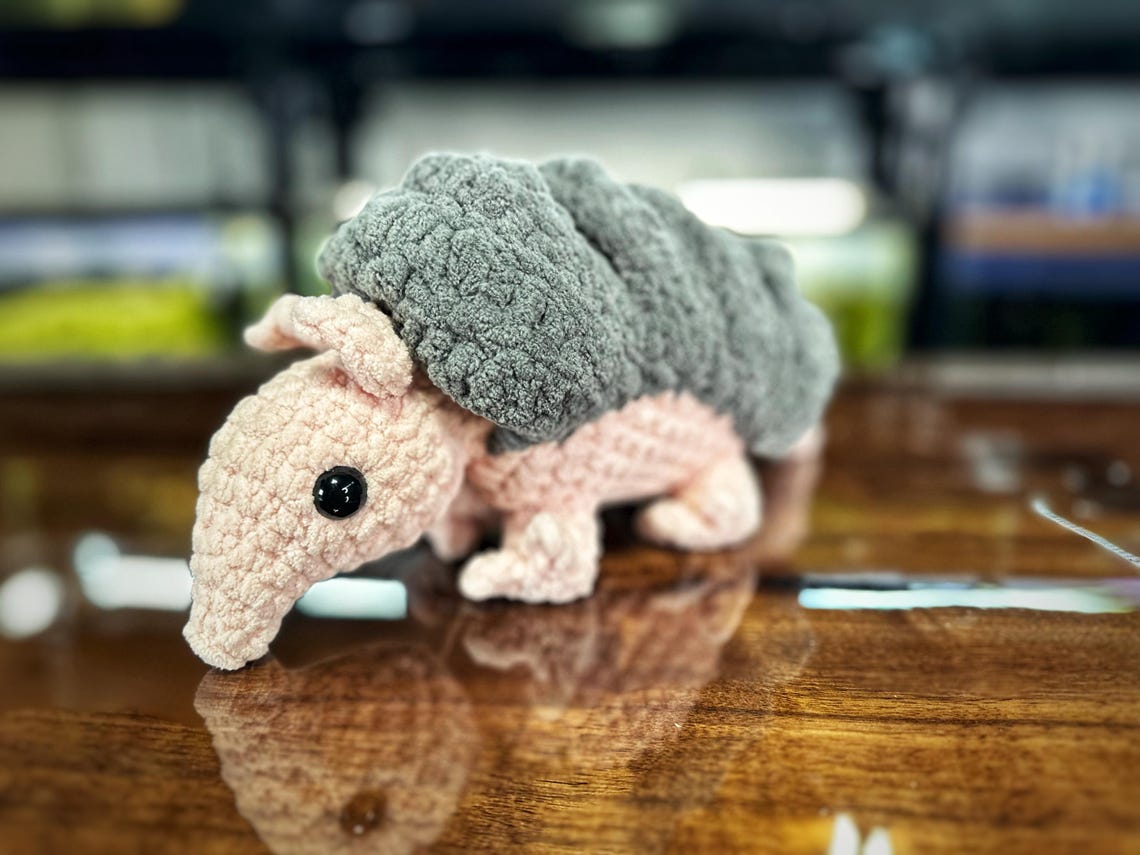 Handcrafted Huggable Armadillo Plushie - Colorful & Cuddly Companion! - Etsy