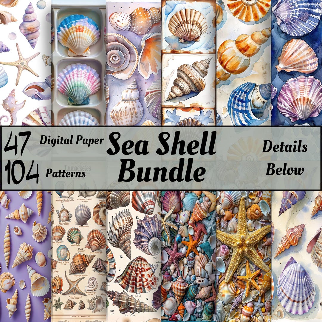 154 Shells Bundle Including Seamless Patterns & Digital Paper Designs ...