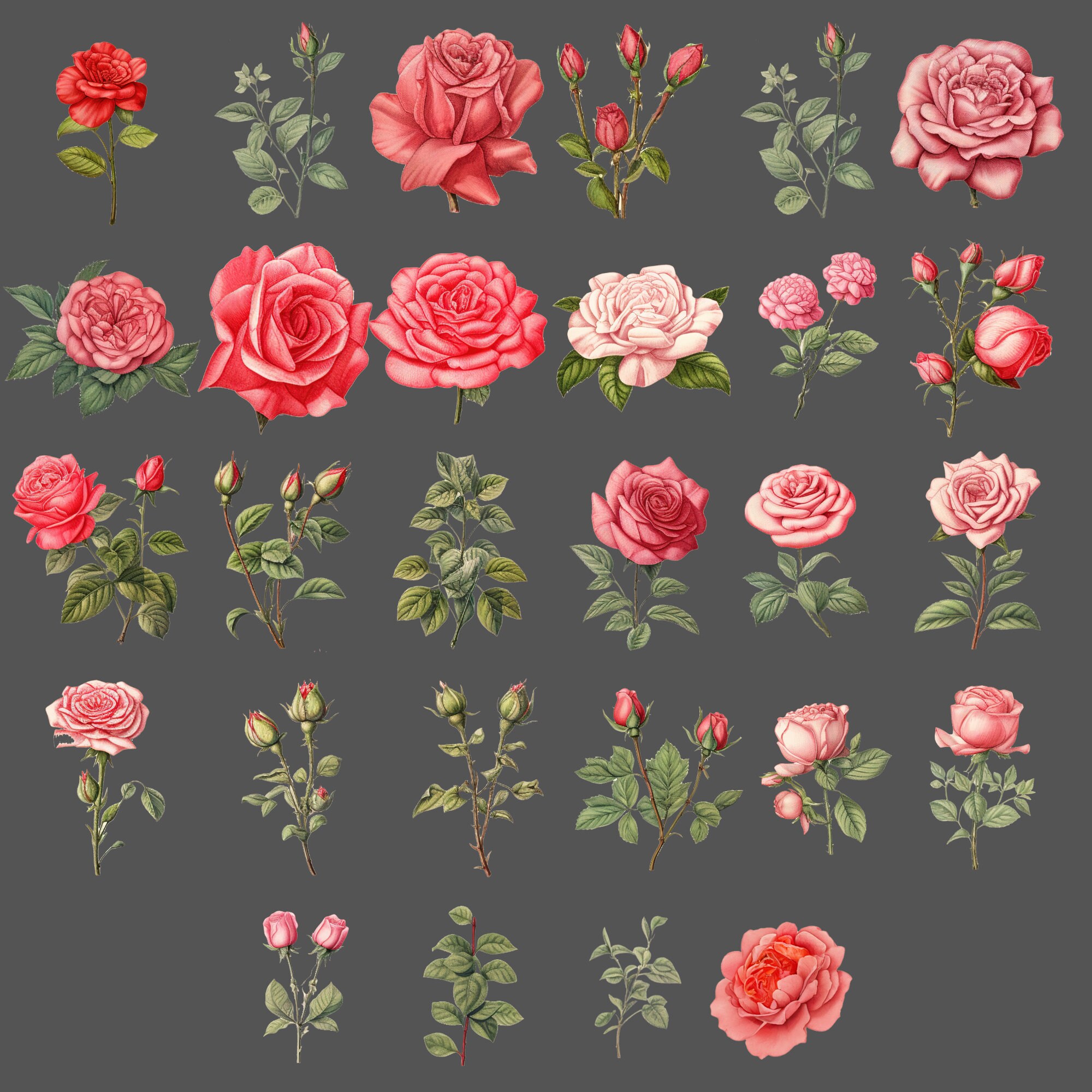 95 Rose Floral Clipart Floral Art Flower Collectible Rose Art Bundle - Etsy
