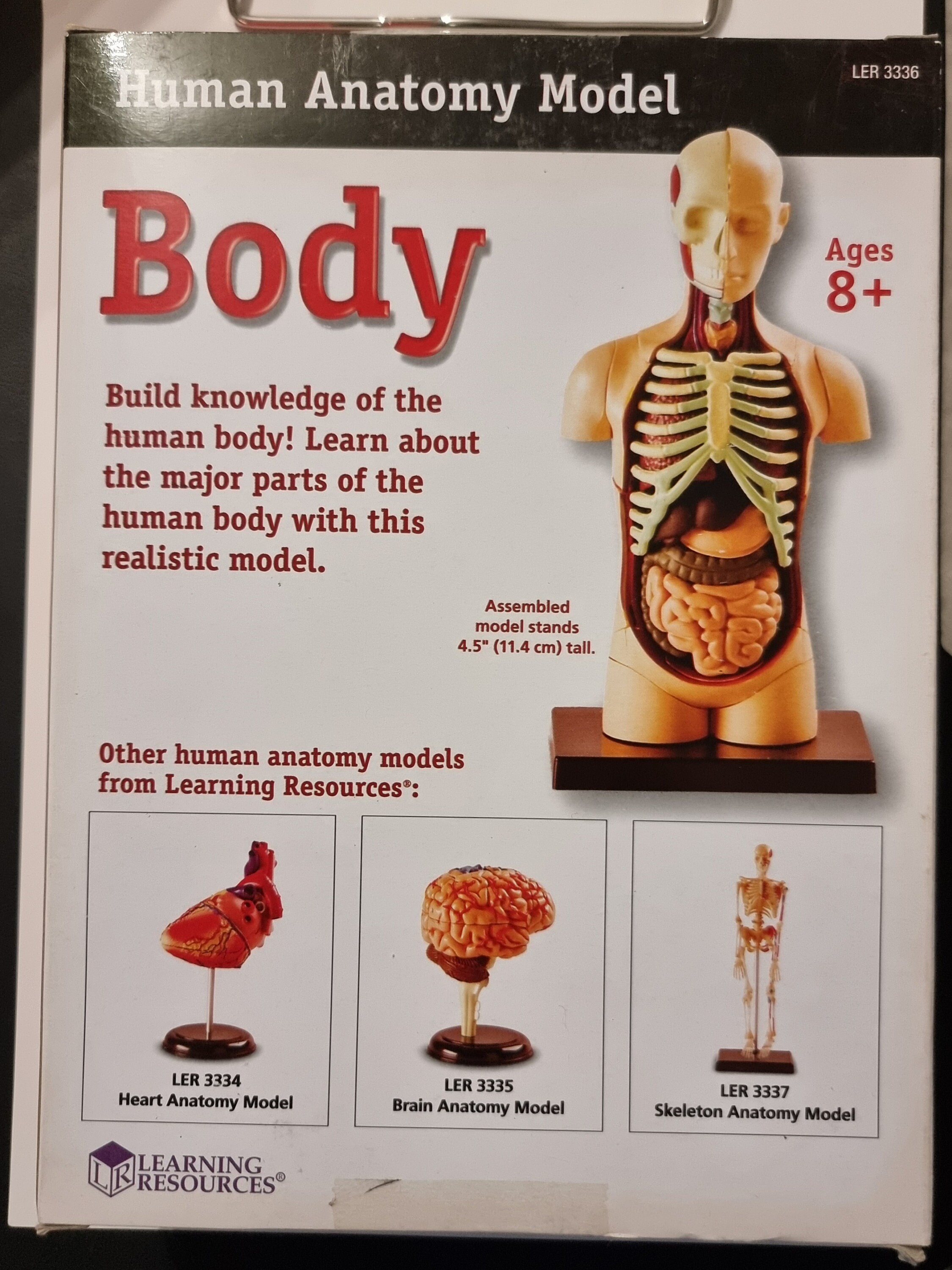 Human Body Learning Resources Educational Anatomy 31-piece Model Set ...