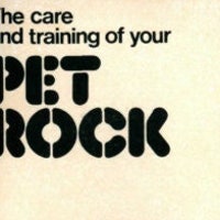 Pet Rock, Owner's Care and Training Manual, Pet Rock Box Template ...