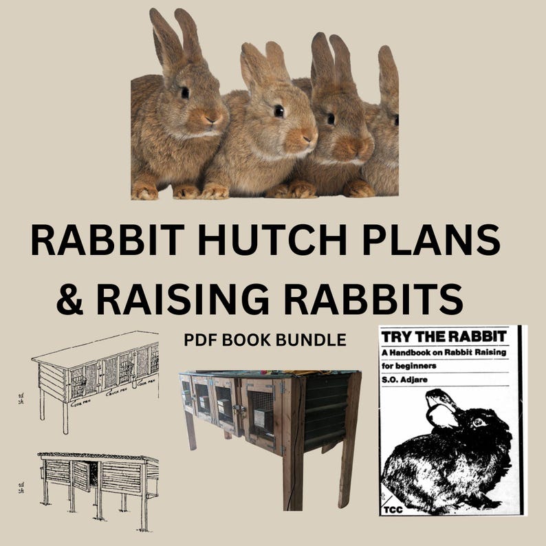DIY Rabbit Hutch Plans Plus Raising Meat Rabbits for Beginners in Your ...
