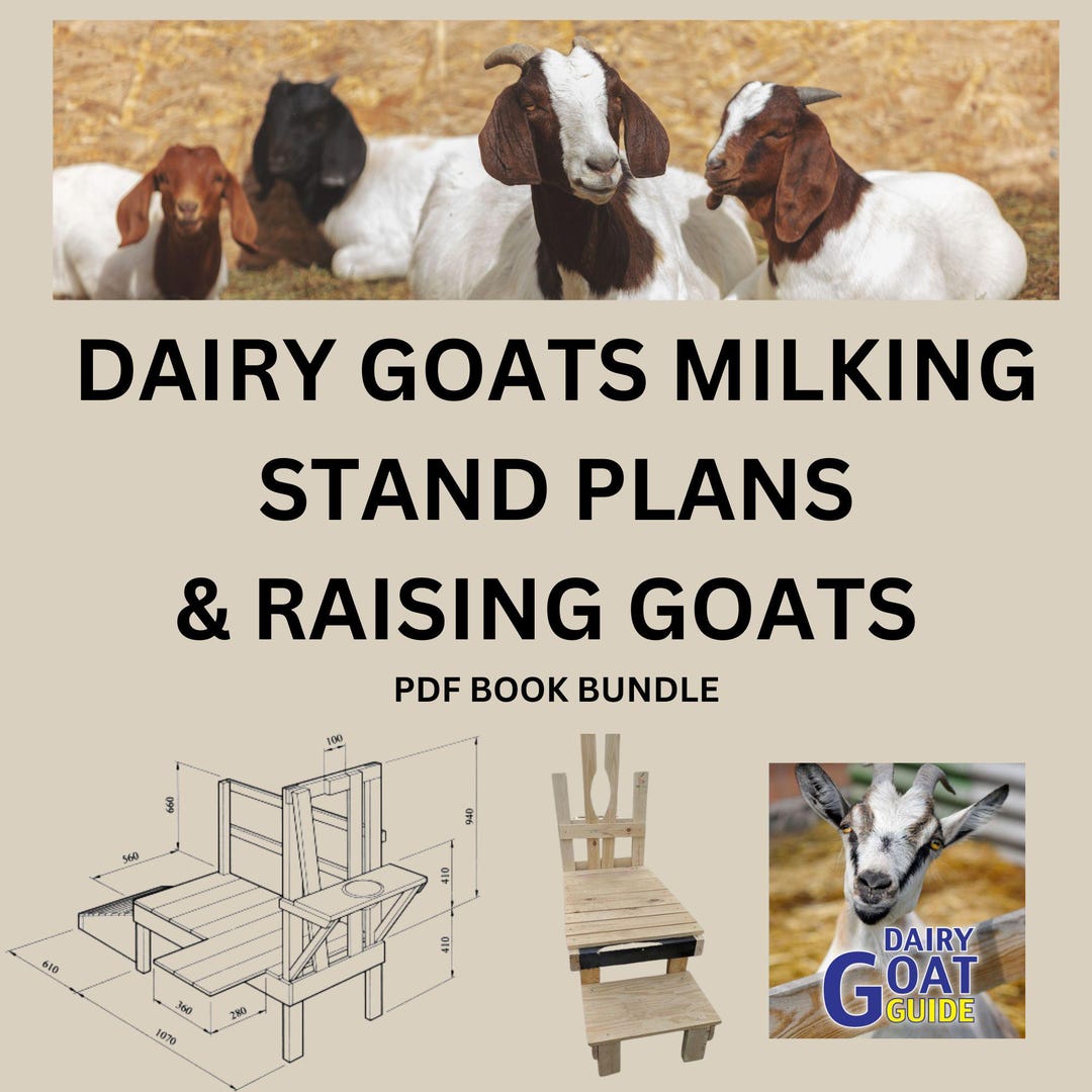 DIY Dairy Goats Milking Stand Plans for Your Hobby Farm Raising Healthy Goats Goatkeeping PDF ...