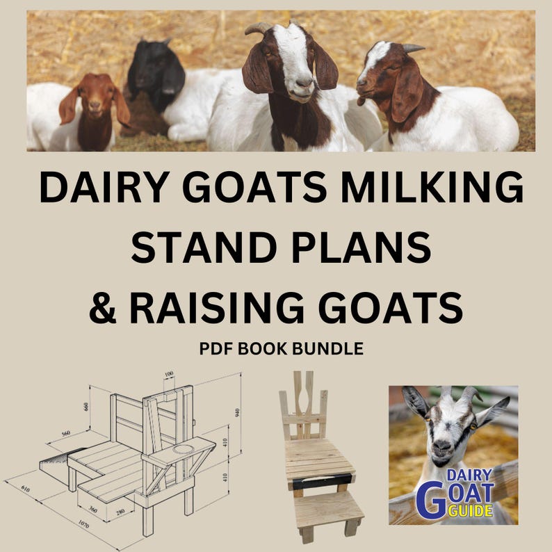 DIY Dairy Goats Milking Stand Plans for Your Hobby Farm Raising Healthy Goats Goatkeeping PDF ...