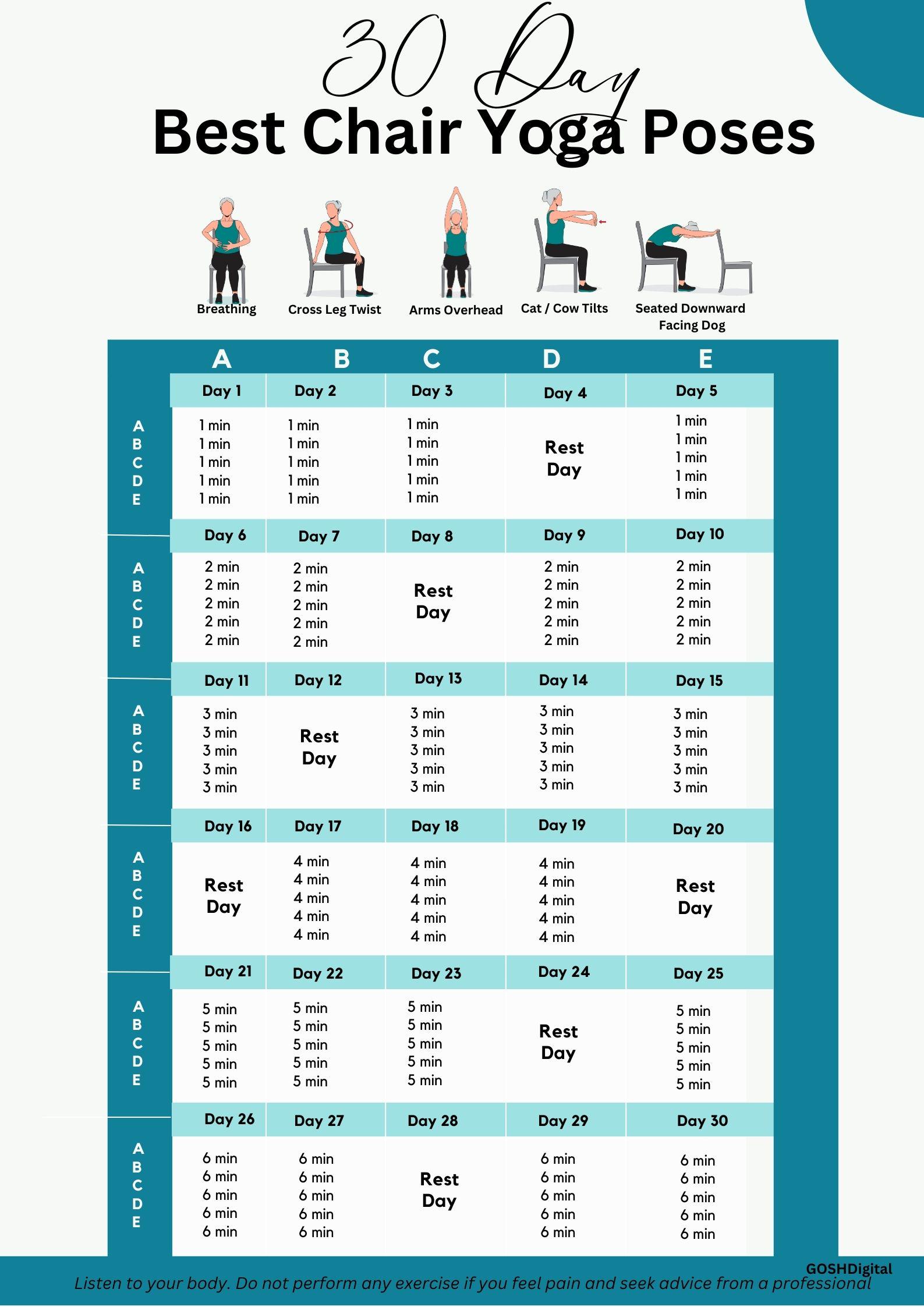 30 Dance Seated Chair Workout for Seniors Wheelchair Users Yoga Exercise Nursing Home Balance ...
