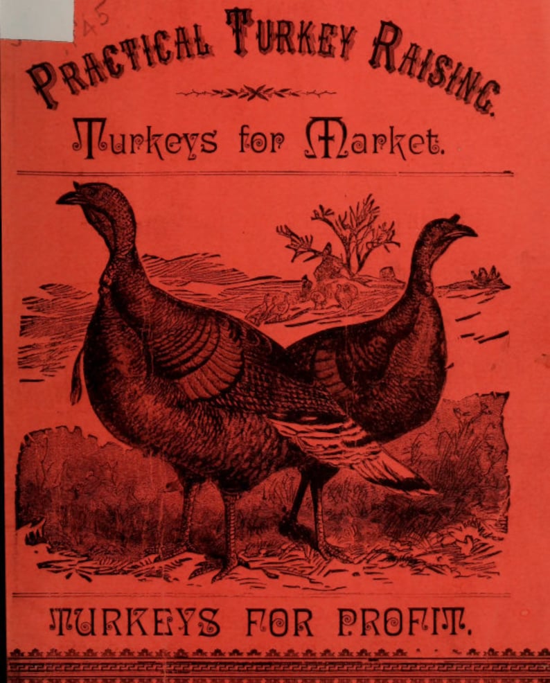 DIY Turkey Coop Plans and Raising Turkeys in Your Hobby Farm DIY Coop 3 ...