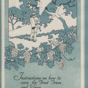 Ball Blue Book of Canning and Preserving Recipes Handbook PDF Vintage ...