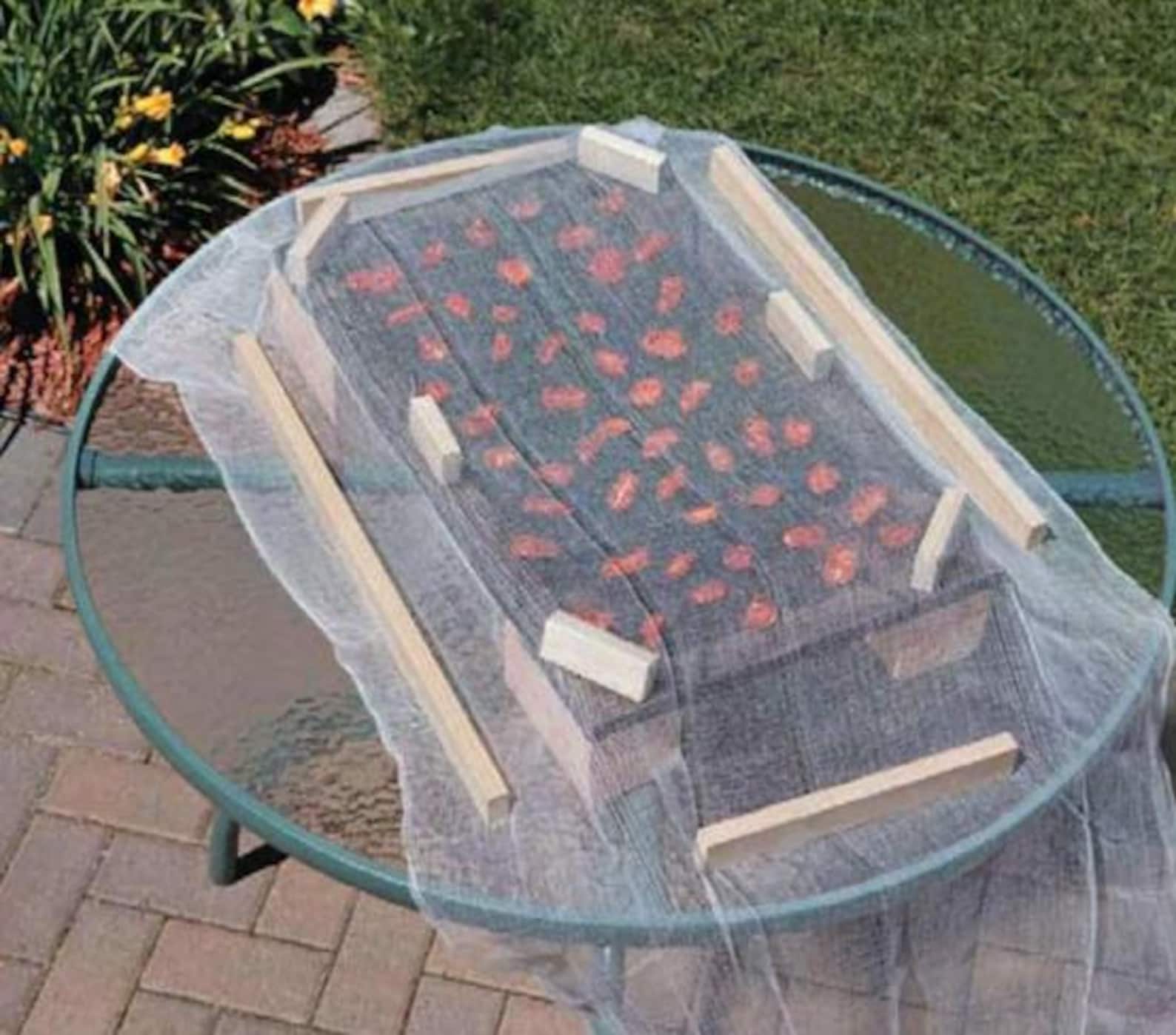 4 DIY Portable Solar Fruit Dryer Dehydrator and Cooker Woodworking ...