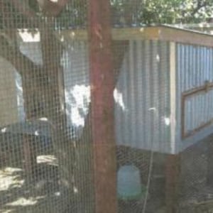 DIY Turkey Coop Plans and Raising Turkeys in Your Hobby Farm DIY Coop 3 ...