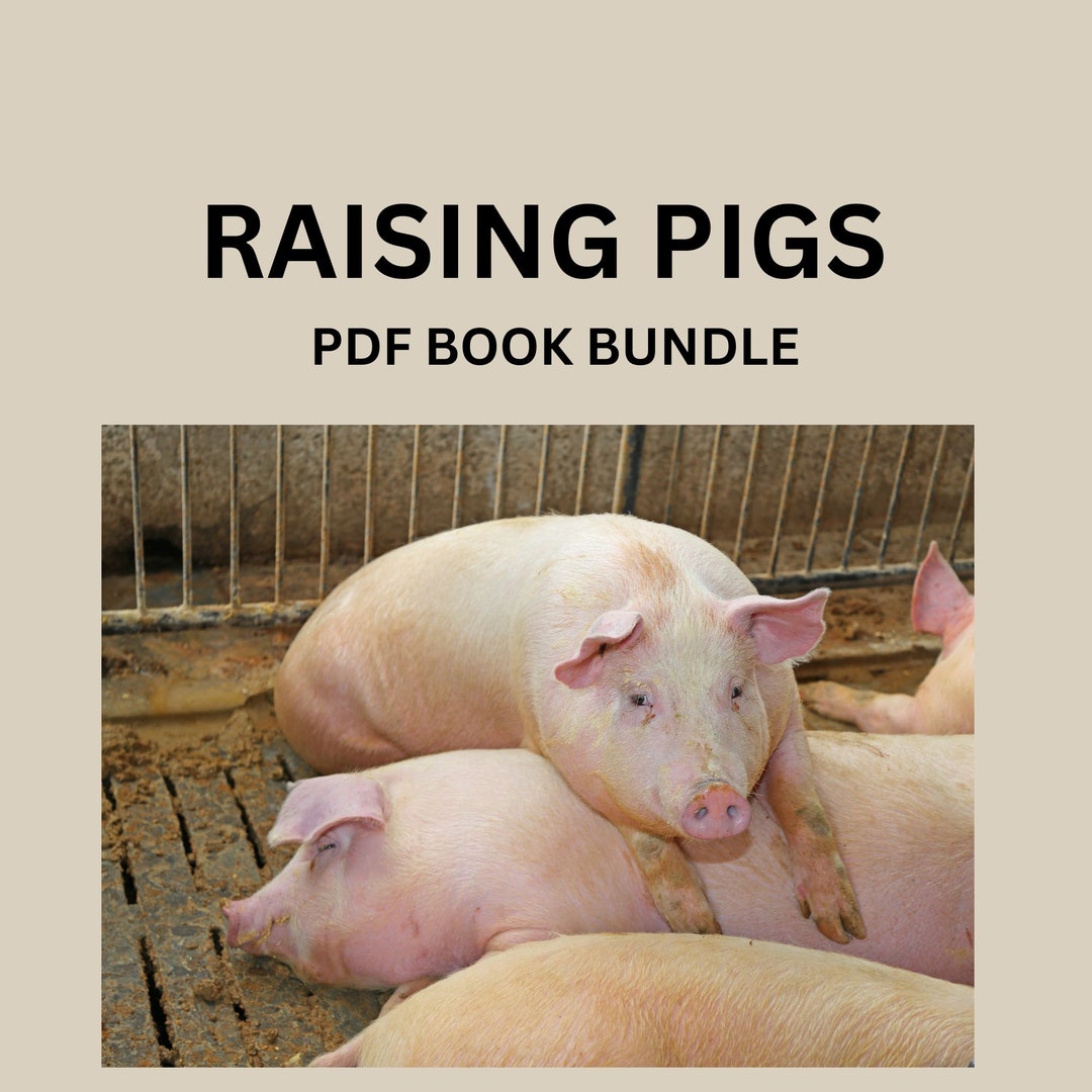 Raising Pigs Hogs Swine for Beginners in Your Backyard Hobby Farm No Smell DIY Pen PDF Bundle ...