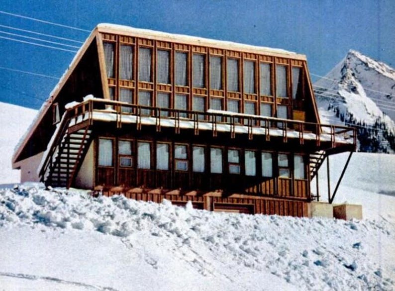 2 Bed Wacky Tiny Cabins Retro Vacation Space Holiday Aframe House PDF ...