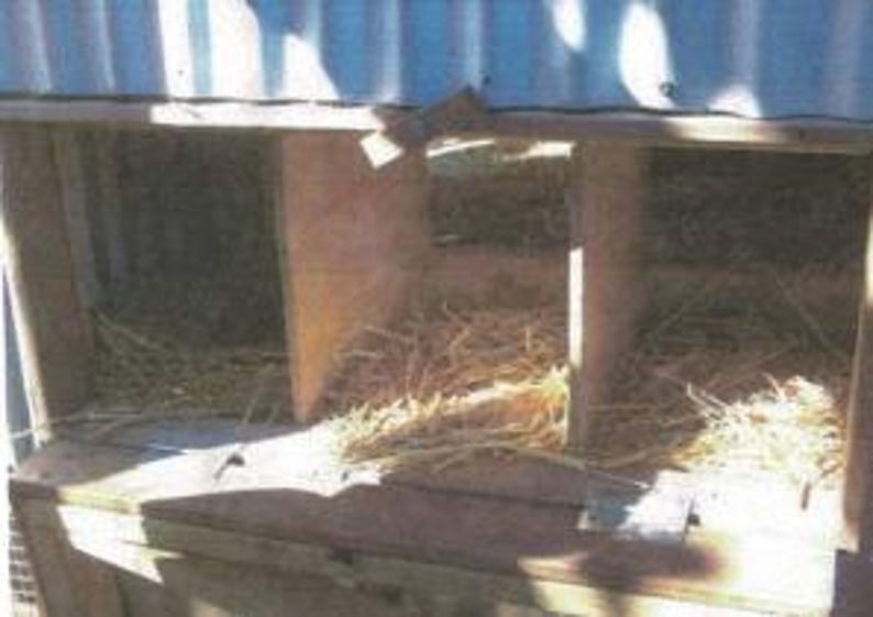 DIY 4 Chicken Coop Chook Plans for Beginners Slope Roof Hutch Plus ...