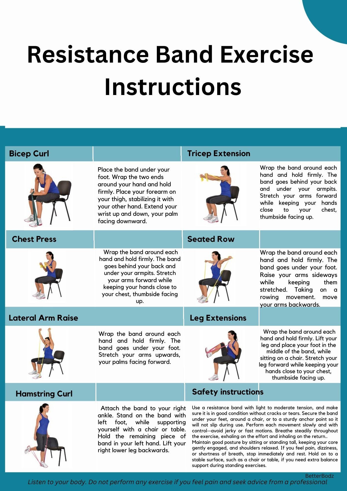 Seated Standing Resistance Loop Band Tubes Handles Seniors Workout ...