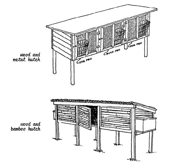 DIY Rabbit Hutch Plans Plus Raising Meat Rabbits for Beginners in Your ...