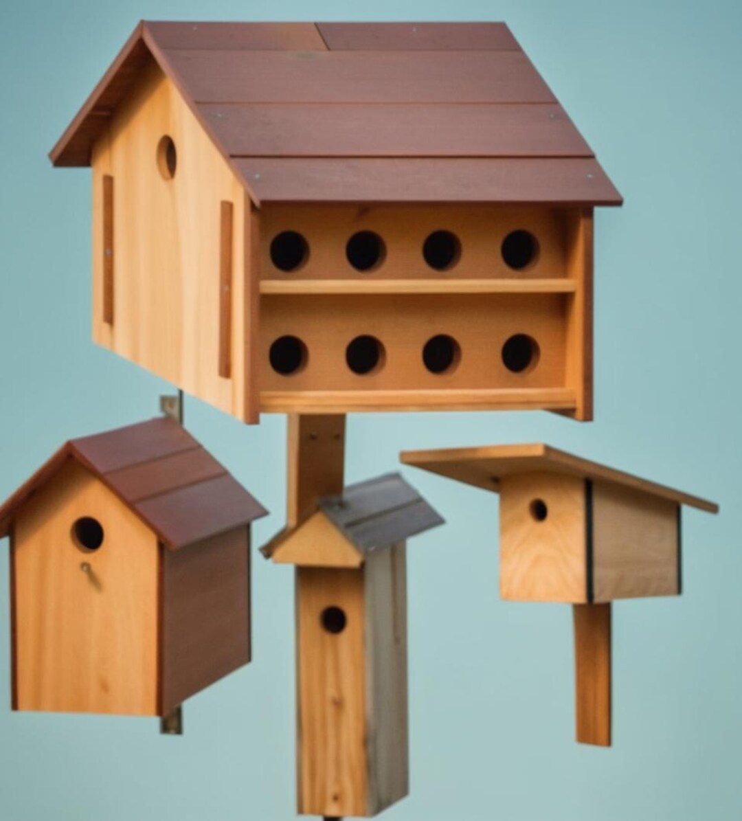 DIY Birdhouse Plans the Complete Book of Bird House Construction How to ...