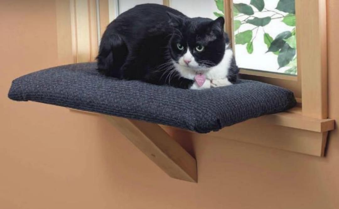 DIY Cat Sill Window Perch Plans Climbing Cat Shelves PDF Woodworking ...