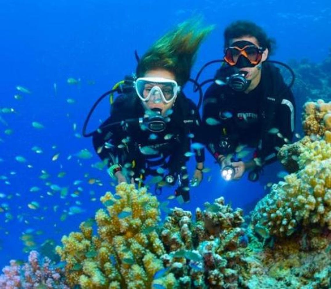 Recreational Diver Planner PADI Handout With Practise Mock Exam Test Q ...