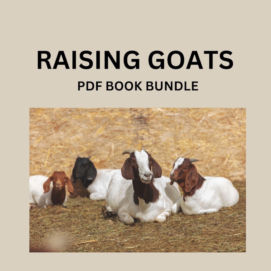 Raising Dairy or Meat Goats for Beginners in Your Backyard Hobby Farm ...