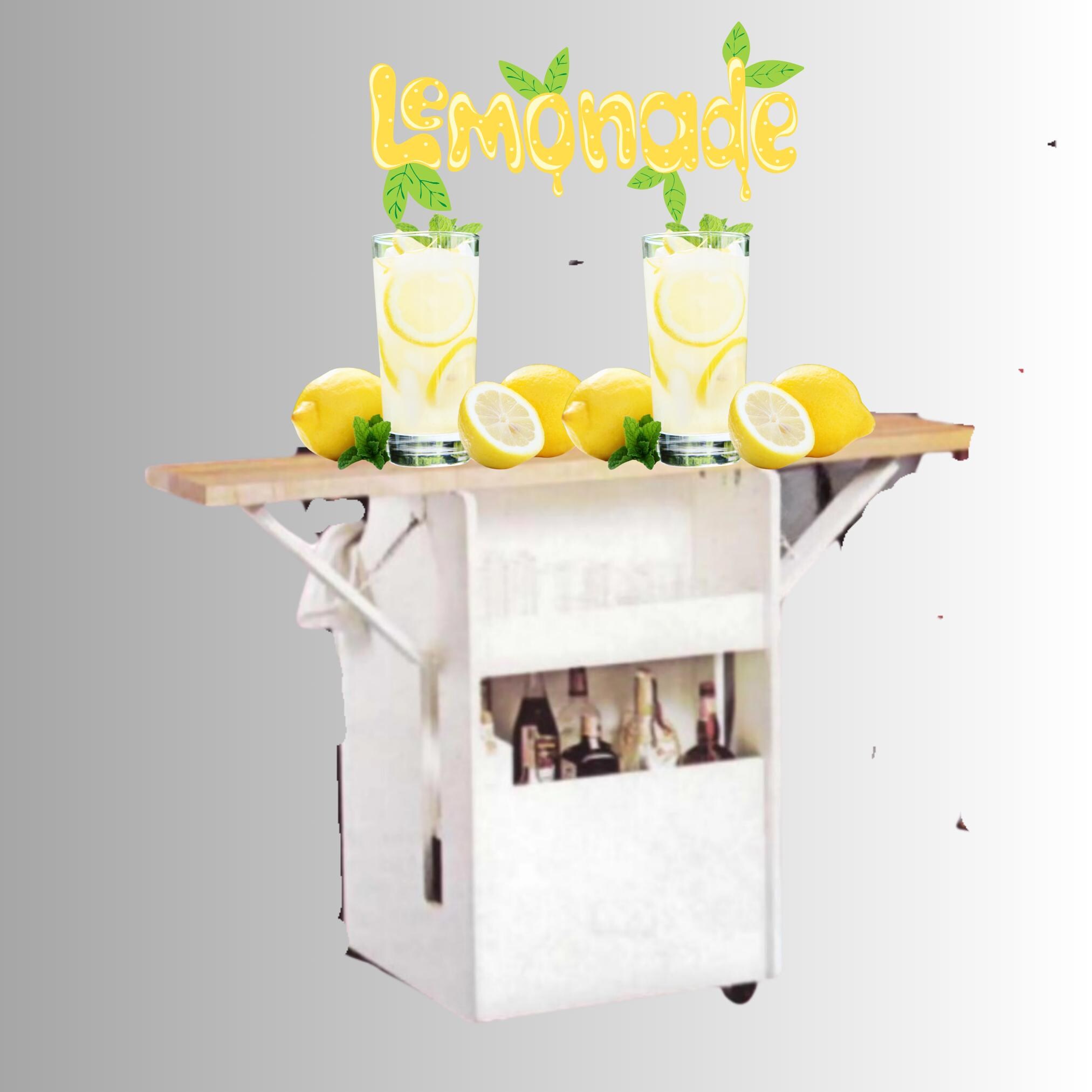 DIY Portable Market Lemonade Stand Plans Mini Bar Cart Mobile Folding ...