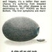 The Care and Training of Your Pet Rock Owner's Manual 1975 Vintage PDF ...