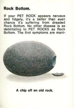 Pet Rock Instructions