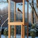 DIY Bird Aviary Outdoor Bird House PDF Animal Small Bird Cage Plans for ...
