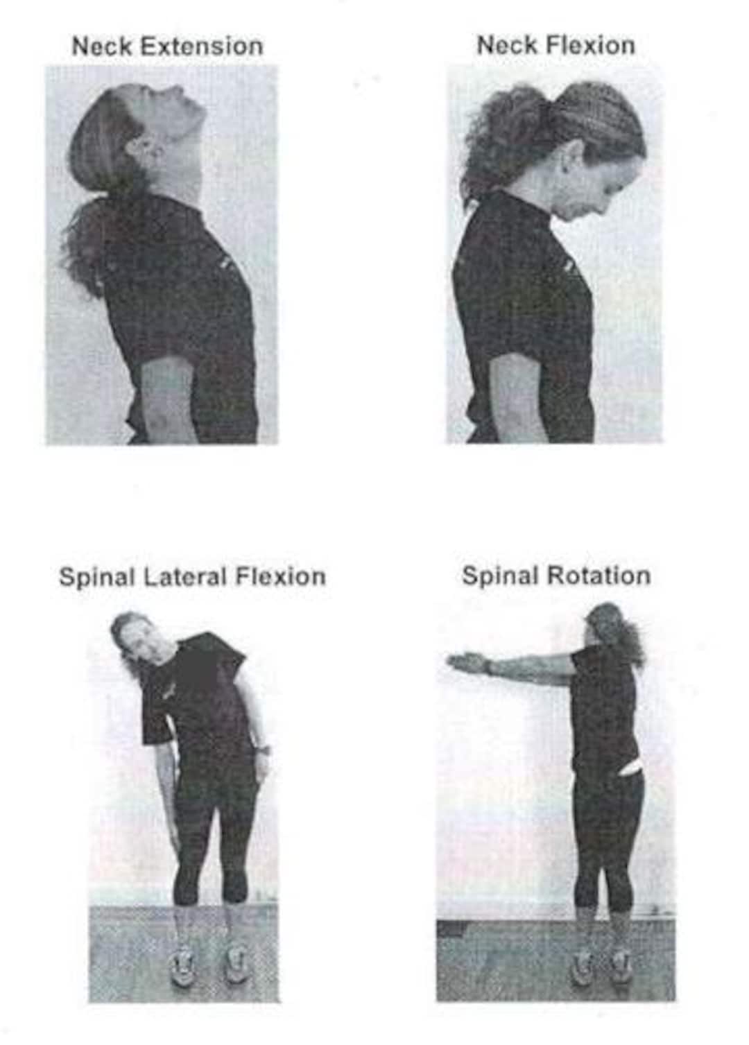 Improve Your Posture With Stretching Spinal Exercises for Office ...