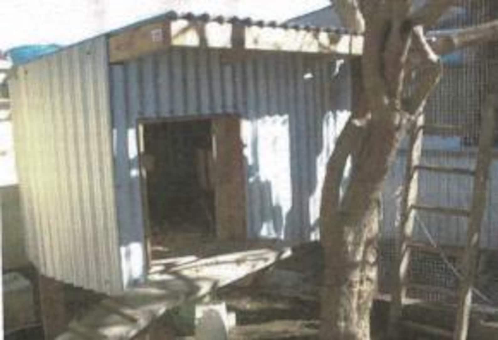 DIY Turkey Coop Plans and Raising Turkeys in Your Hobby Farm DIY Coop 3 ...