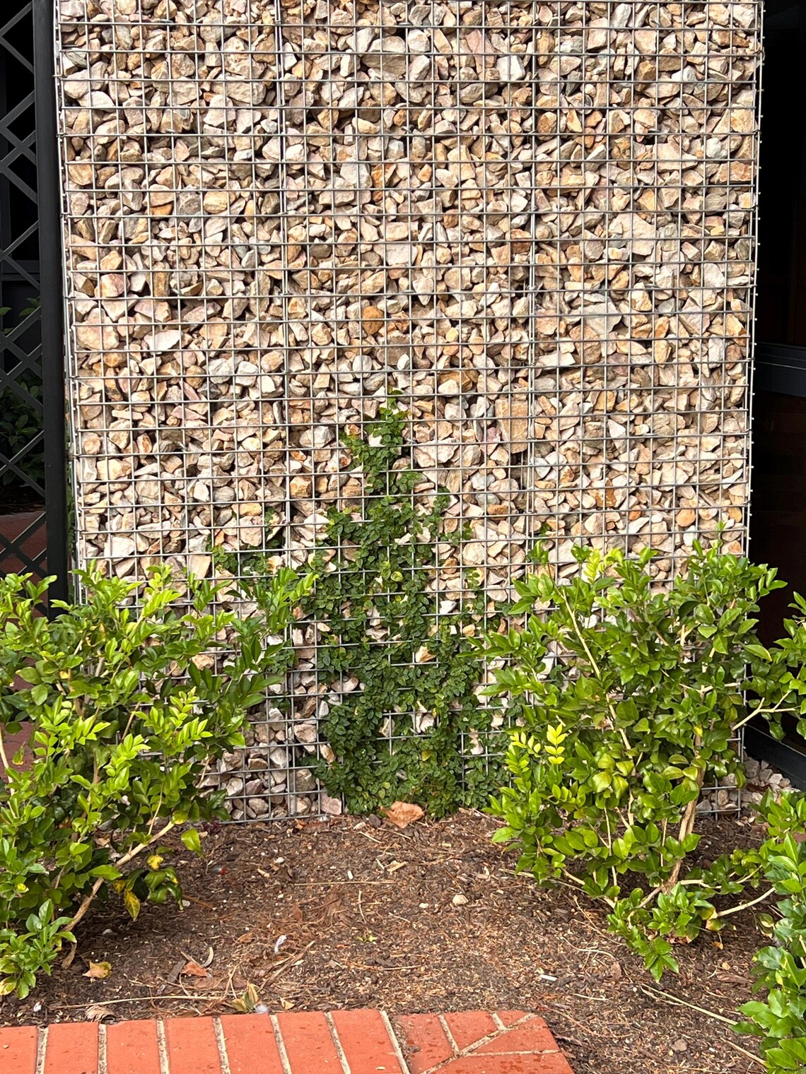 DIY How to Assemble Garden Gabion Baskets PDF Plans Box Enclosed Woven ...