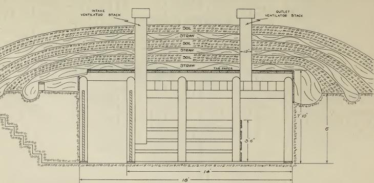 DIY Root Cellar Plans Homestead Build Your Own Farm Root or Storm ...