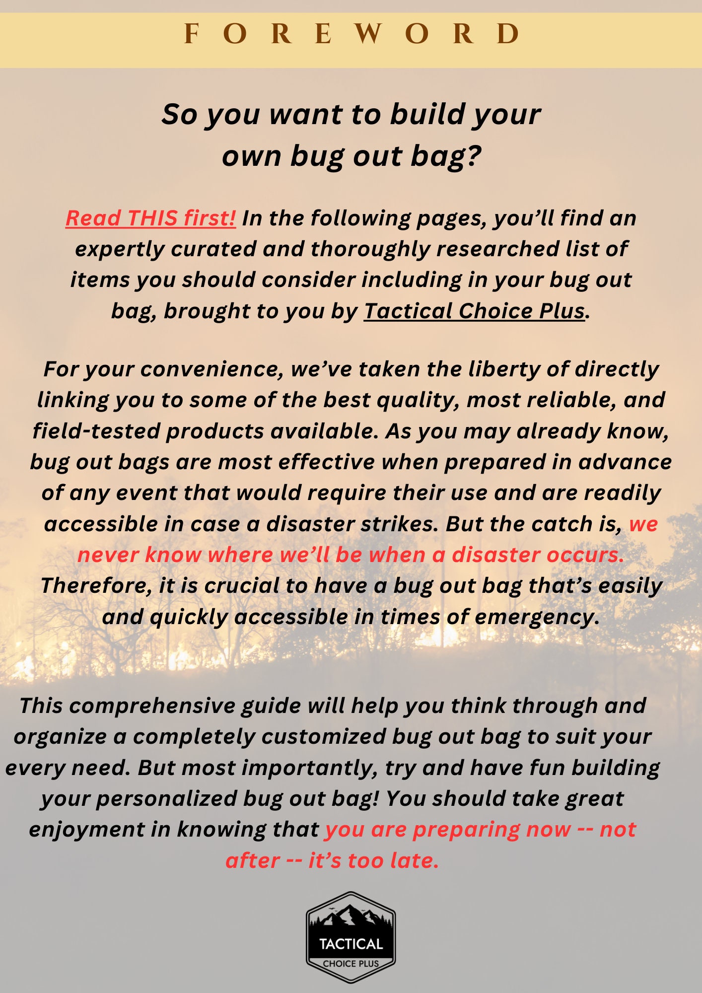 How to Build and Pack Your Own Bug Out Bag: A Comprehensive Guide - Etsy