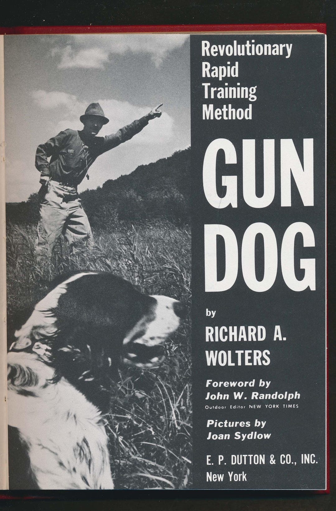 Book- GUN DOG by Richard A. Wolters E.P. Dutton & Co. 1961 Hardcover ...