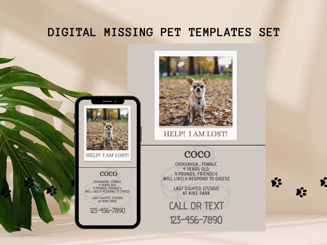 Missing and Lost Dogs and Cats Digital Templates Set Lost Pets Flyer ...