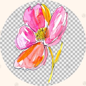 Watercolor Vibrant Pink Flower PNG, Blooming Floral Clip Art, Botanical ...