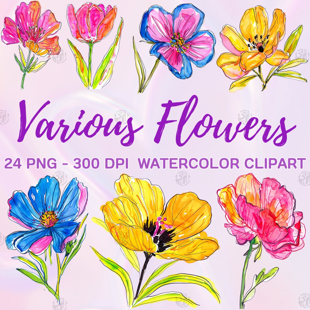 Watercolor Vibrant Pink Flower PNG, Blooming Floral Clip Art, Botanical ...