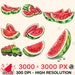 Watercolor Juicy Watermelon Slice PNG, Picnic Clip Art, Summer Fruit ...