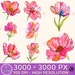Watercolor Vibrant Pink Flower PNG, Blooming Floral Clip Art, Botanical ...