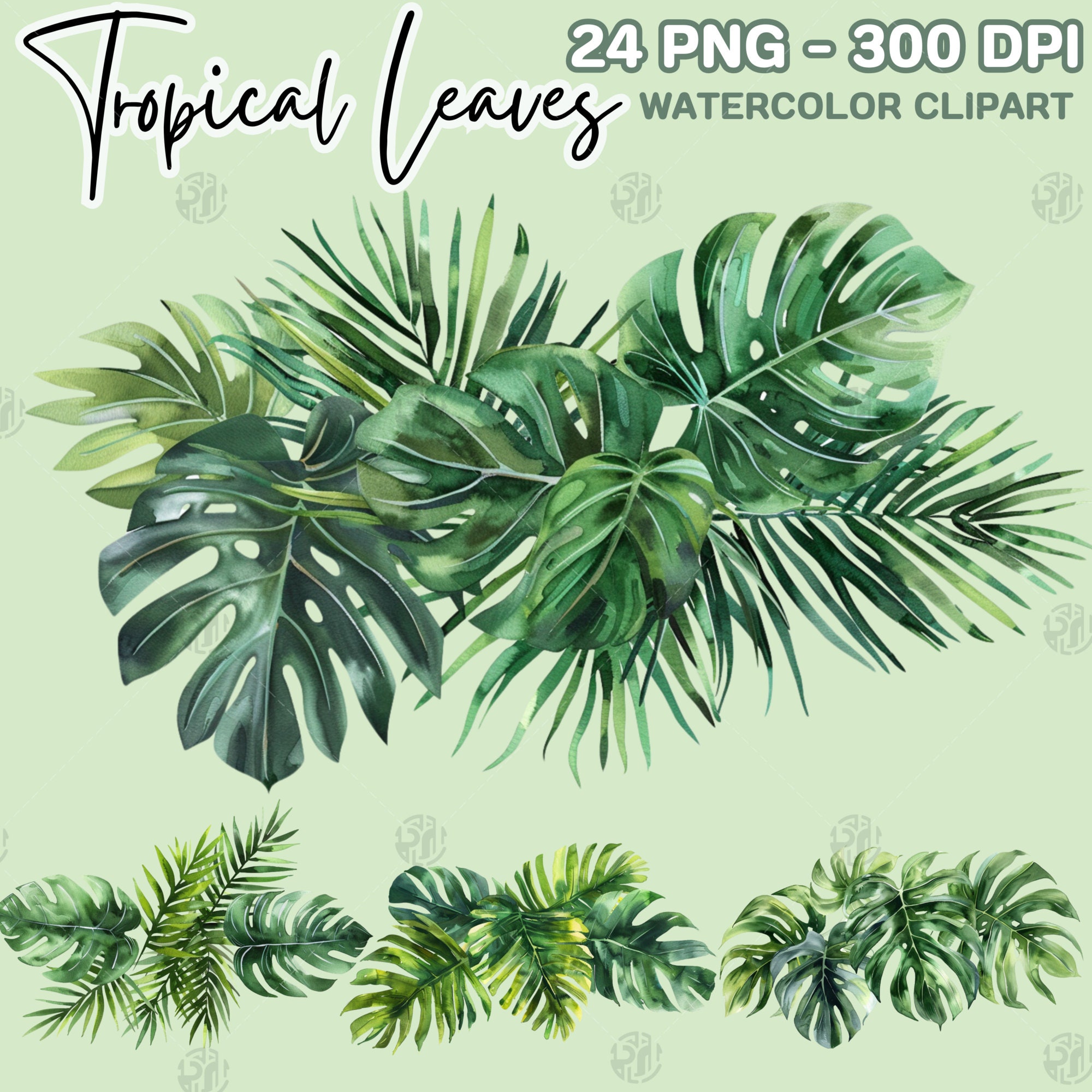 Watercolor Tropical Leaves PNG, Green Plant Clipart, Monstera Nature ...