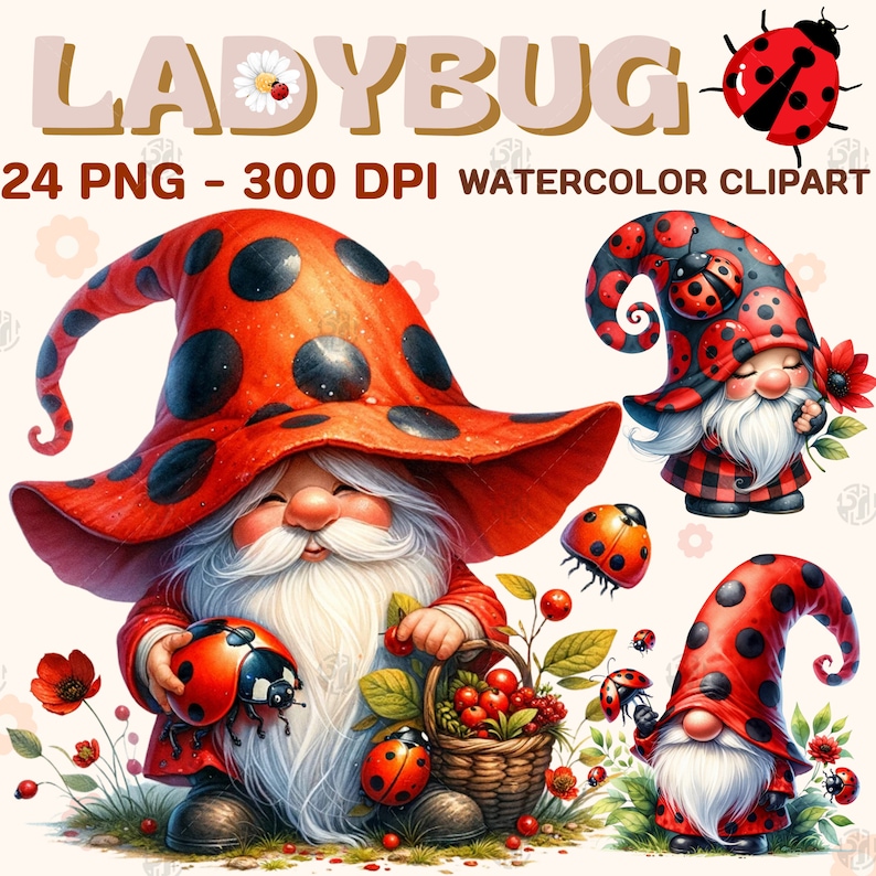 Watercolor Ladybug Gnome PNG, Cute Love Bug Gnomes Clipart, Spring ...