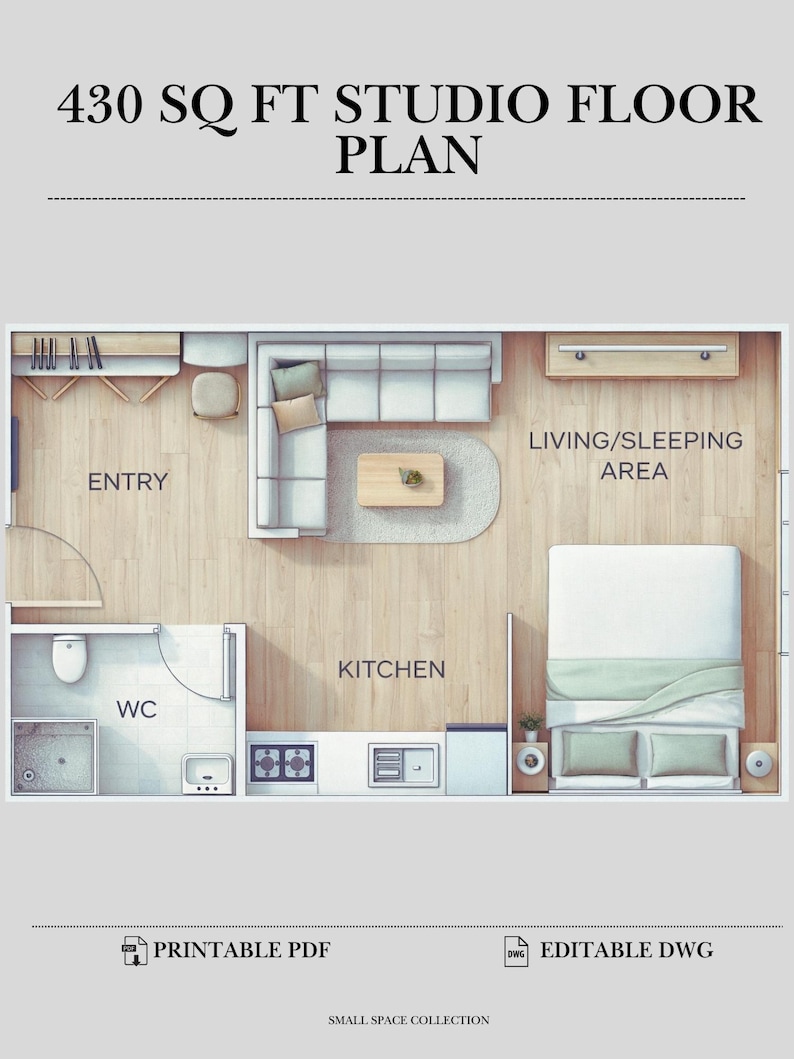 430 Sq Ft Studio Apartment Floor Plan | Tiny Home Design (PDF + DWG) - Etsy
