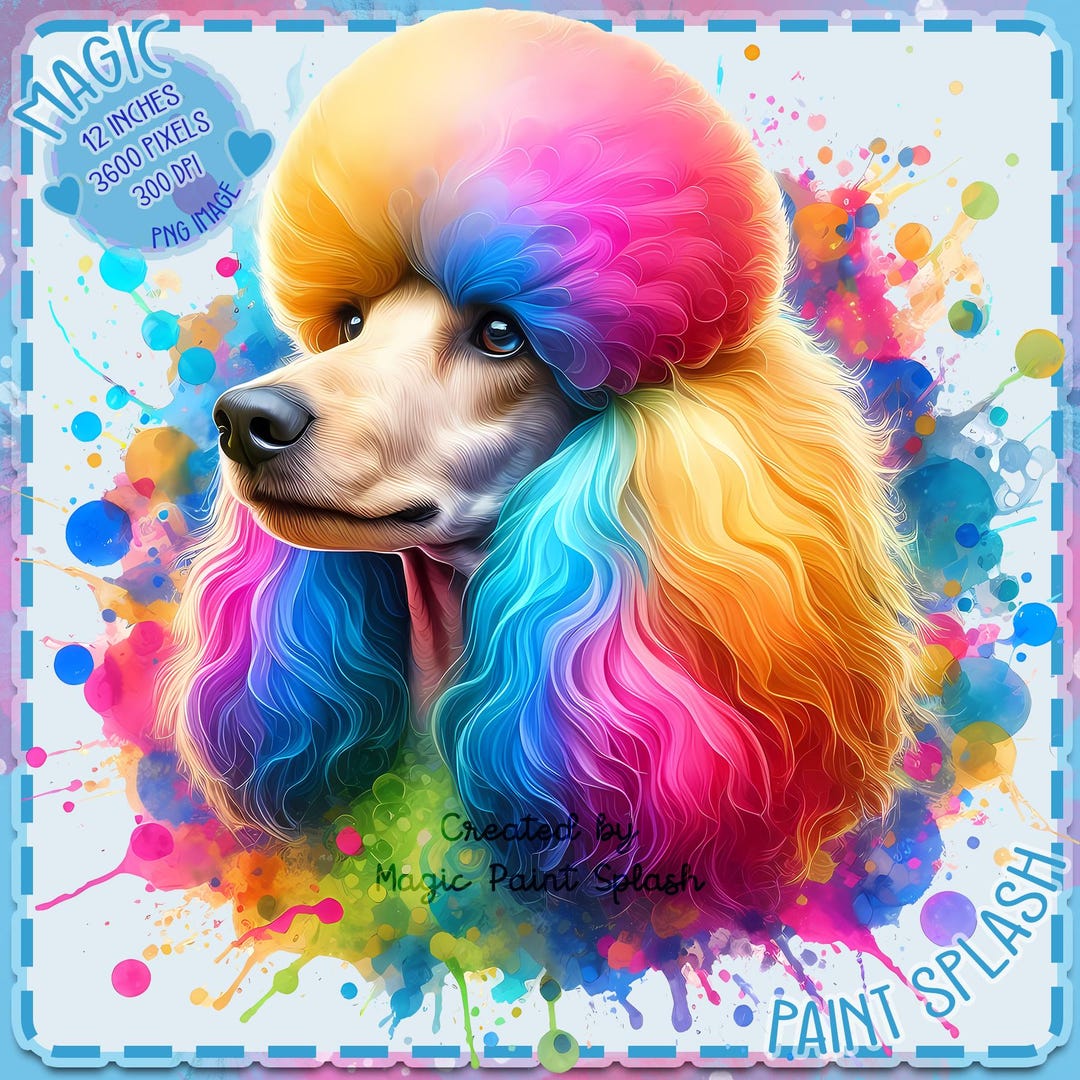 Rainbow Standard Poodle Watercolor Splash, Clipart Images, Graphics and ...