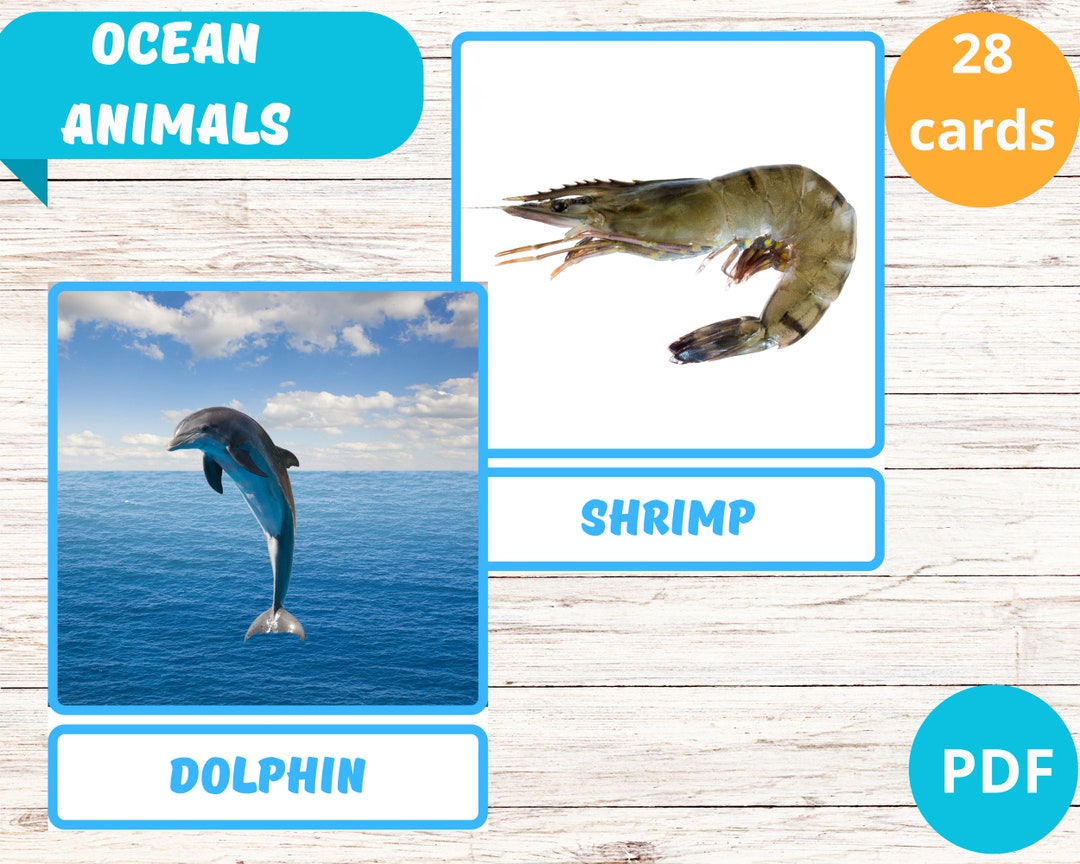 Ocean Animal Flashcards for Kids Fun Montessori Learning Tool Instant ...