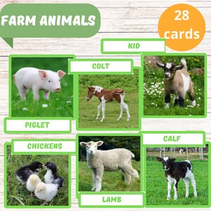 Farm Animal Flashcards Engaging Montessori Learning Tools Fun ...
